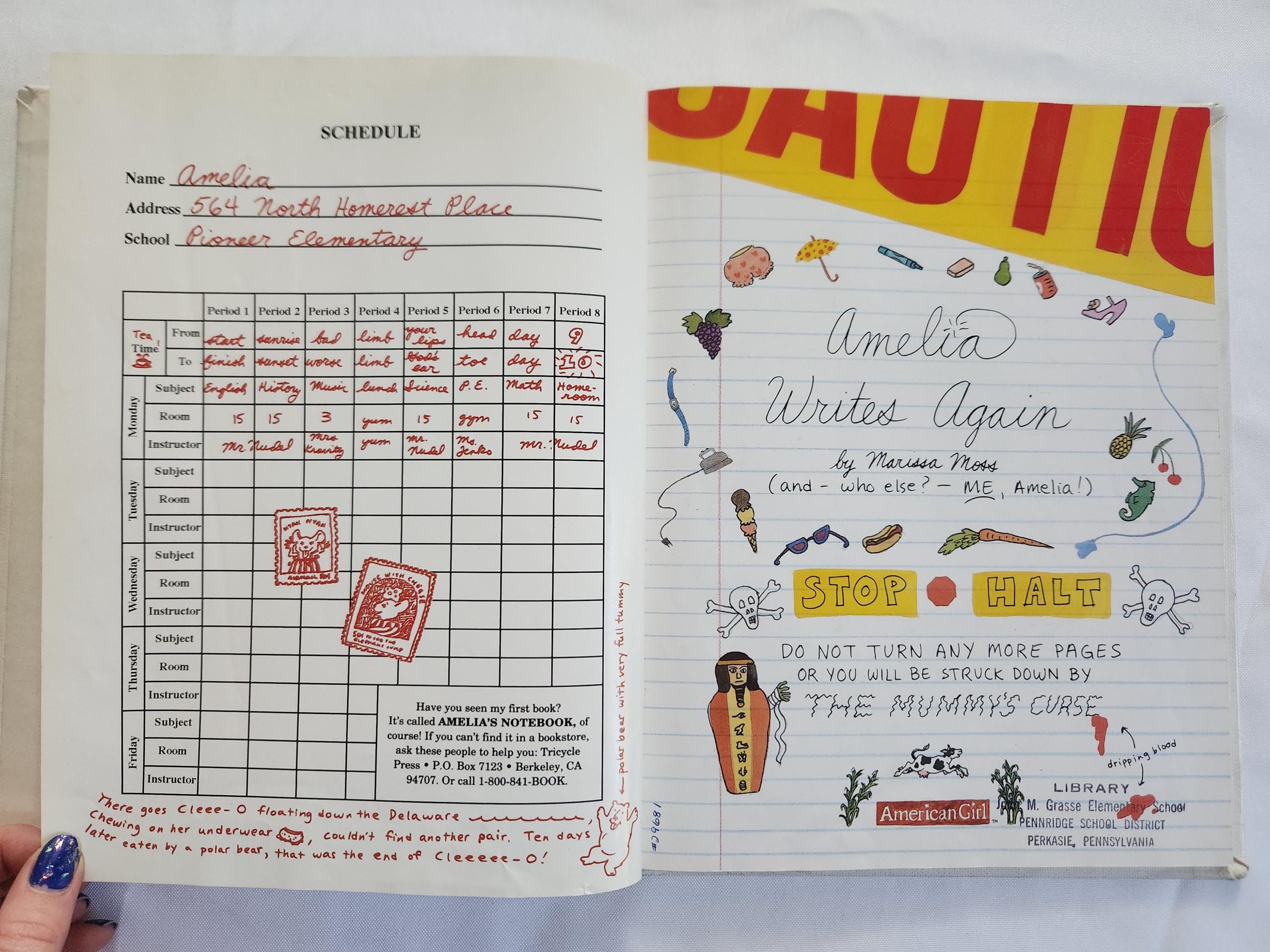 Amelia Writes Again by Marissa Moss -- Vintage 1990s 2000s Creative ...