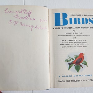 Birds A Golden Nature Guide by Herbert Zim & Ira Gabridson Vintage ...