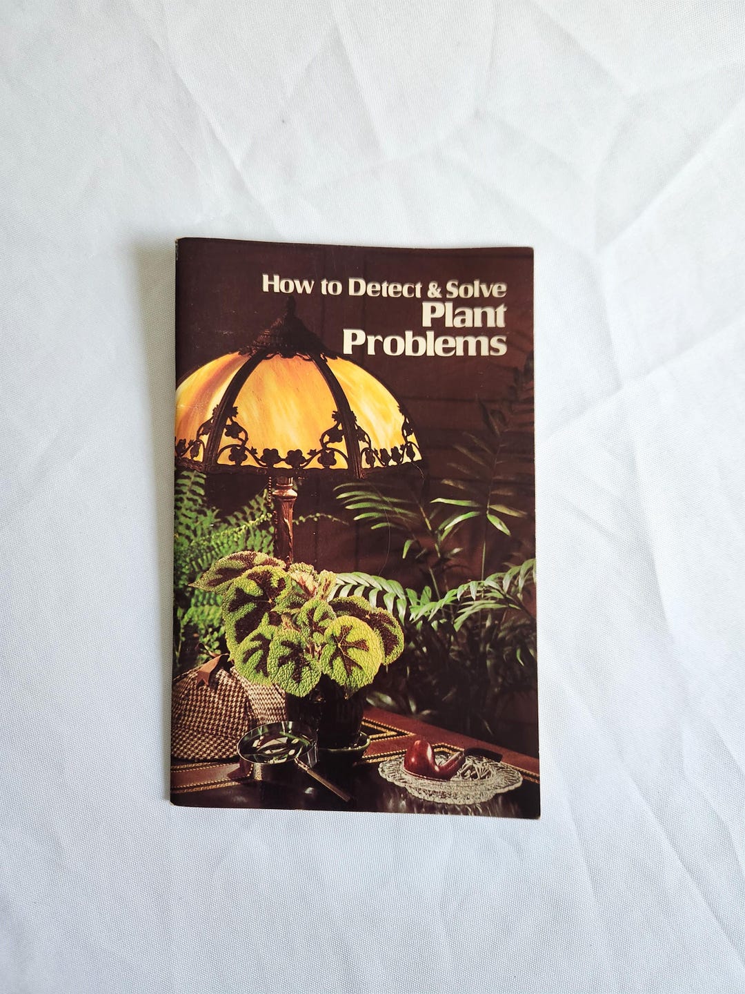 How to Detect & Solve Plant Problems --- Vintage 1970s Houseplant Care ...