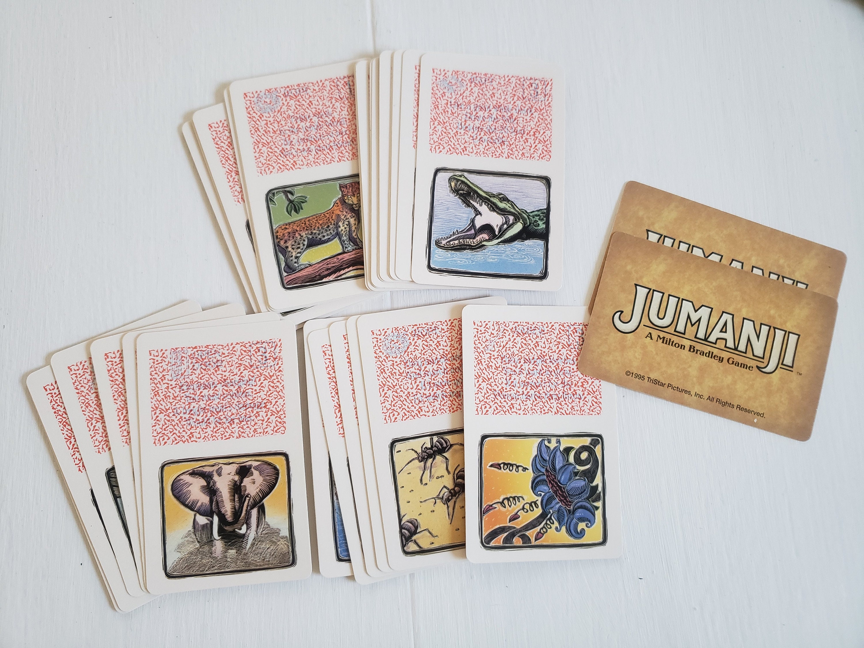 Jumanji Board Game Danger Cards