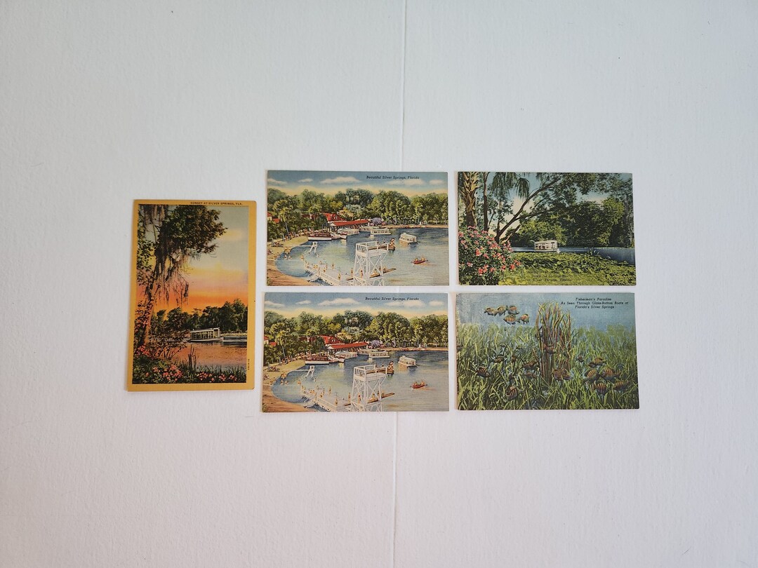 Vintage Silver Springs Linen Finish Postcards - Set of Five - Retro ...