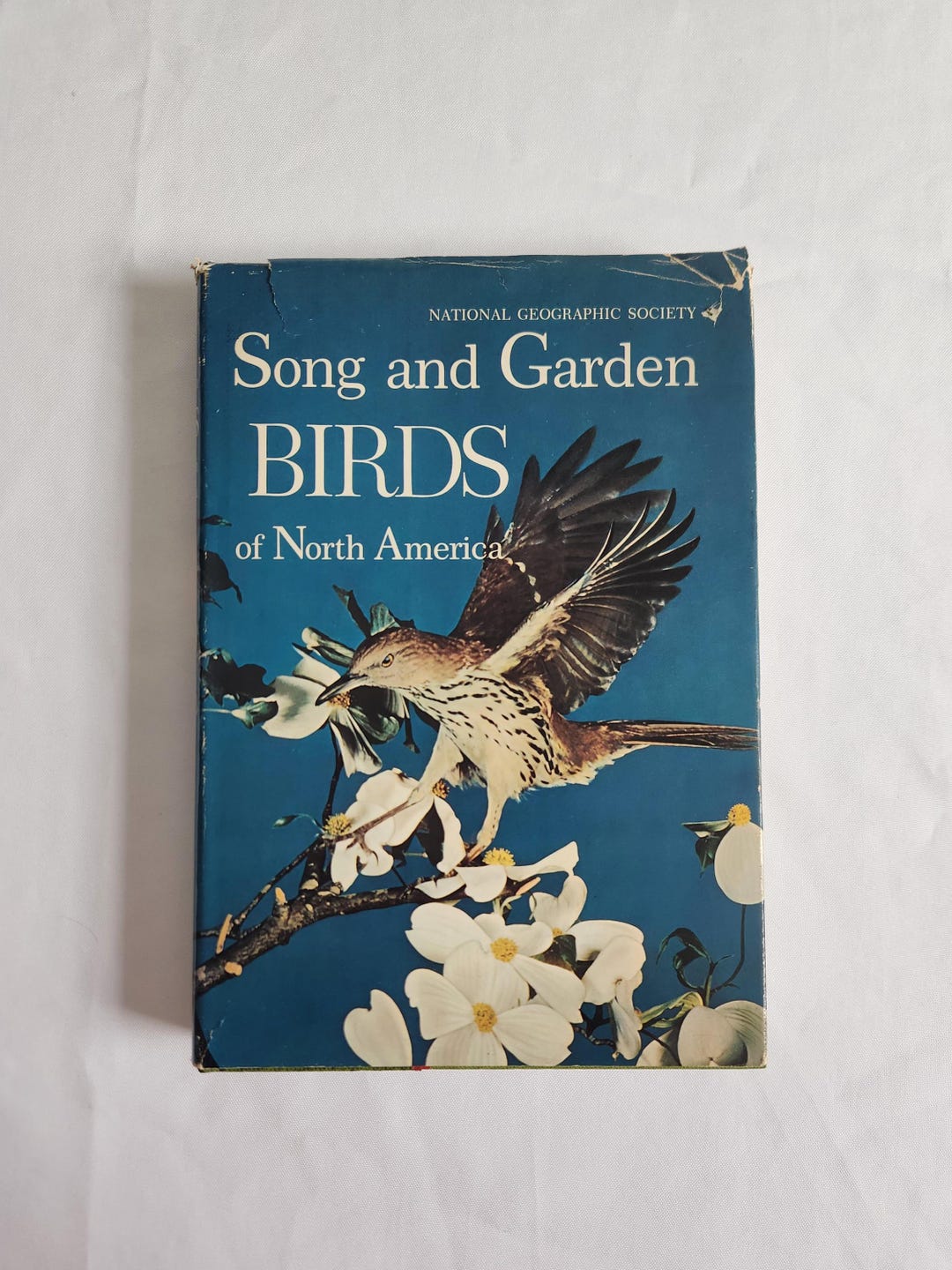 Song and Garden Birds of North America by Alexander Wetmore --- Vintage ...