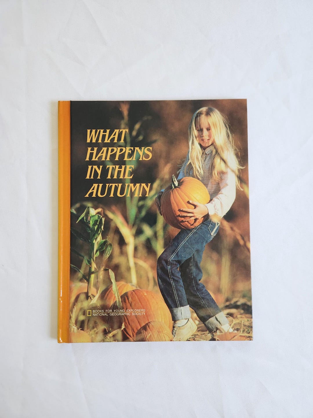 What Happens in the Autumn by Suzanne Venino --- Vintage 1980s Books ...