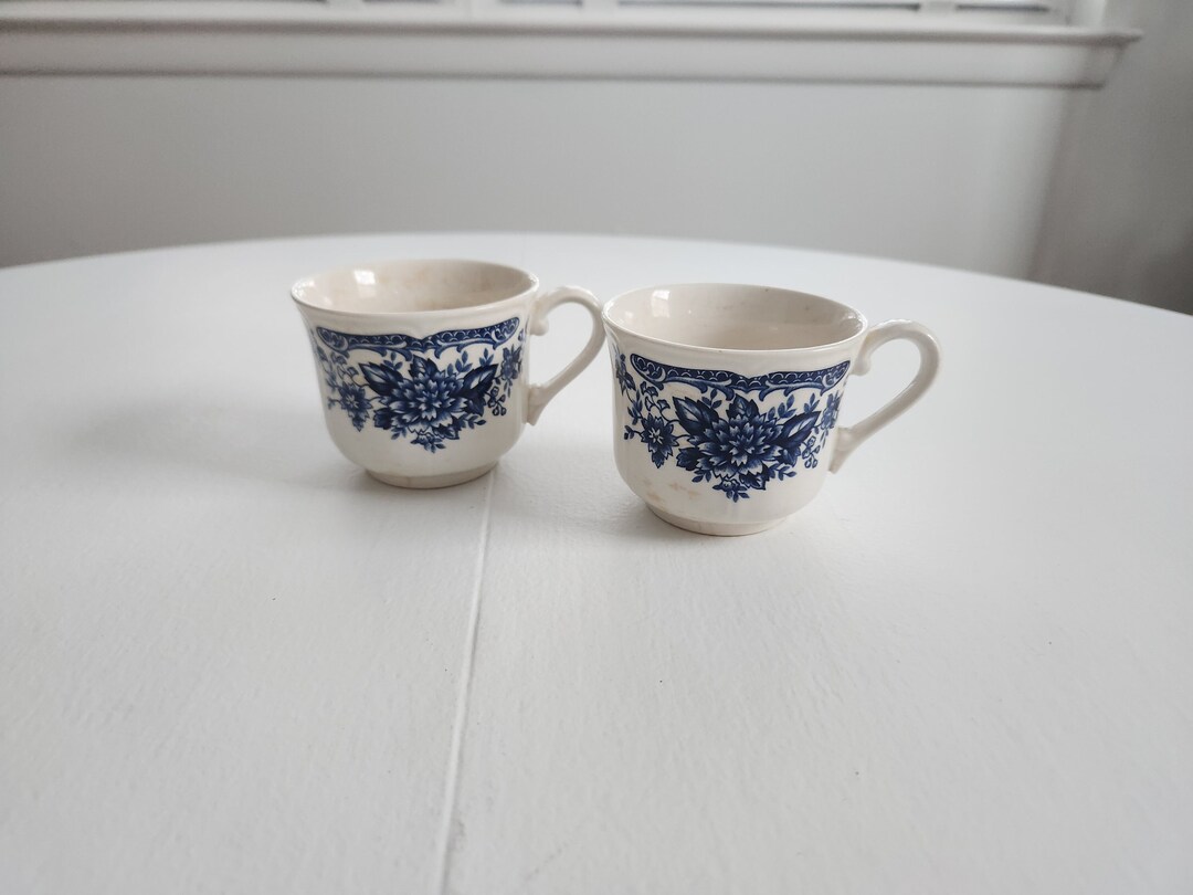 Vintage SR Blue Carnation Ironstone Teacup Mugs - Set of Two - Retro ...