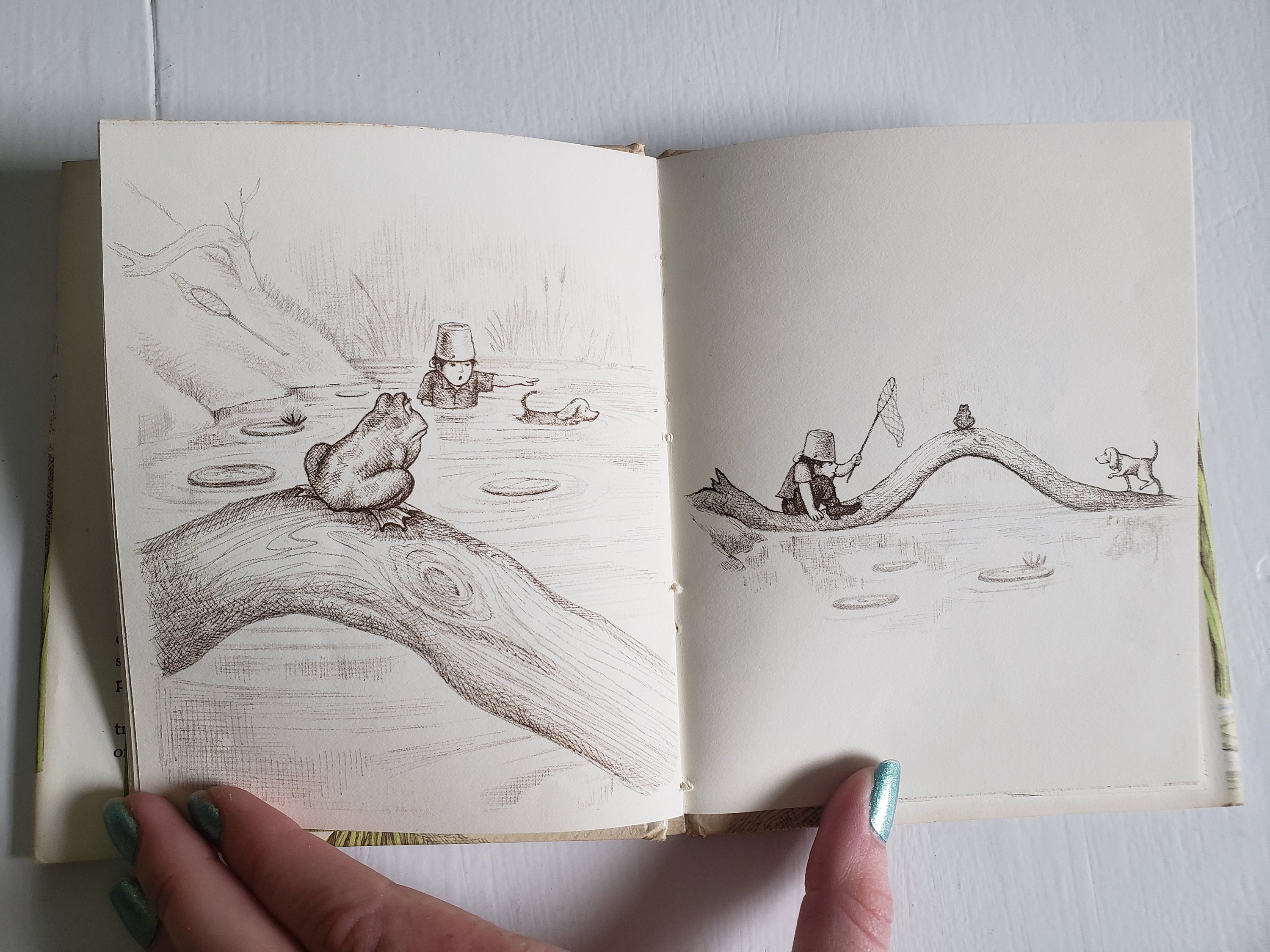 A Boy, a Dog, and a Frog by Mercer Mayer - pnaclick