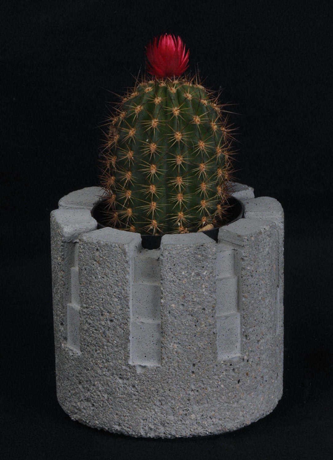 Cement Planter Turret | Etsy