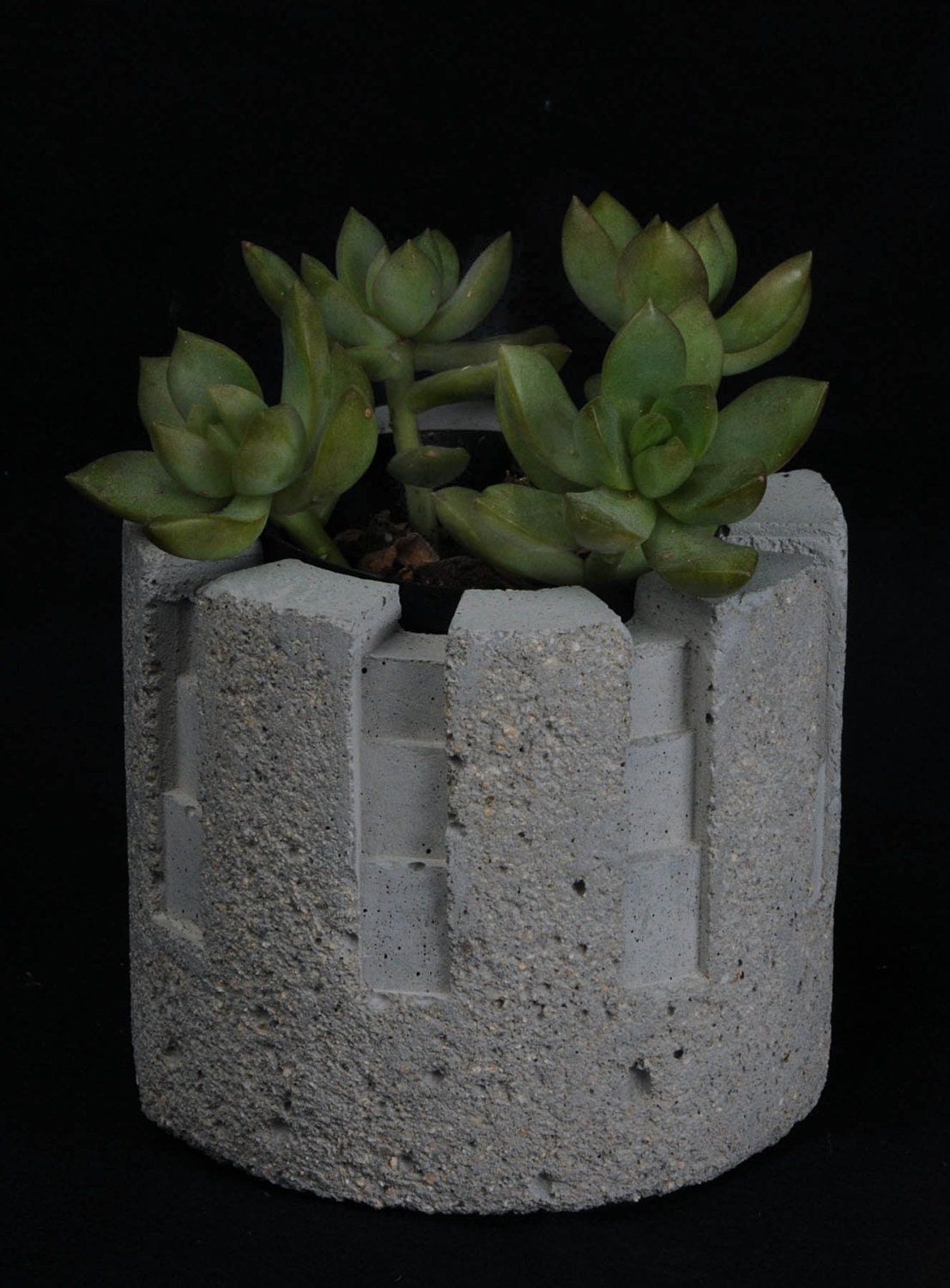 Cement Planter, Turret - Etsy