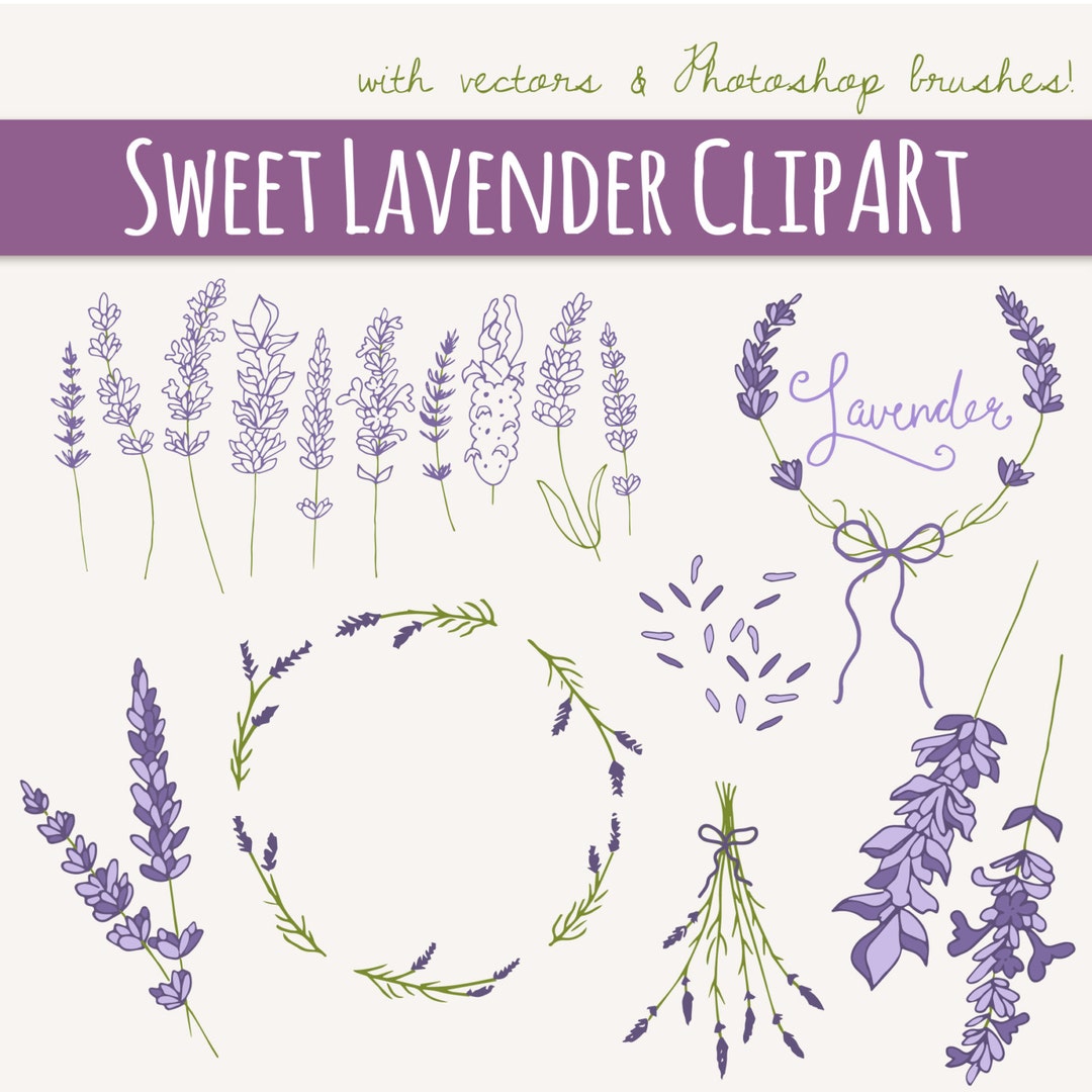 Lavender Clipart Set, Herb Clip Art, Herbal Clipart, Lavender Clip Art ...