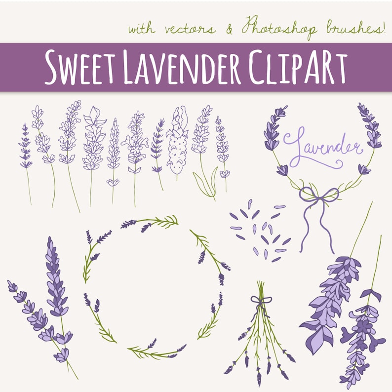 Lavender Clipart Set, Herb Clip Art, Herbal Clipart, Lavender Clip Art ...