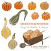 Pumpkin Clipart Pack, Fall Clipart, Autumn Clipart, Pumpkin Patch ...
