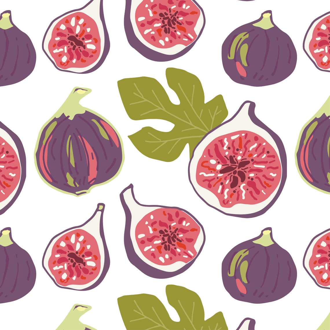 Botanical Clip Art, Figs, Fruit Clipart, Fig Illustration, Fig Clipart ...