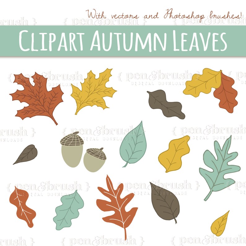 Fall Leaves Clipart, Cute Autumn Clipart, Fall Clipart, Fall Leaf Clip ...