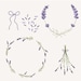 Lavender Clipart Set Herb Clip Art Herbal Clipart Lavender - Etsy