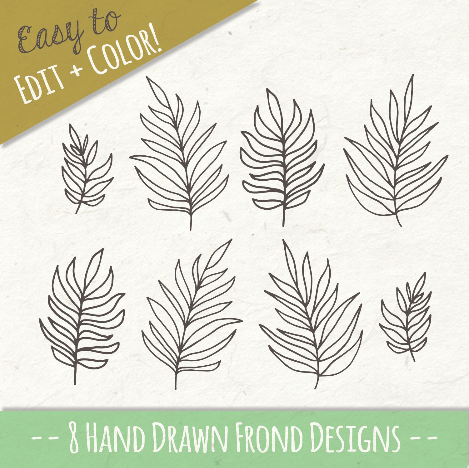 Feathers & Fronds Clip Art // Beautiful Hand Drawn Vectors // - Etsy