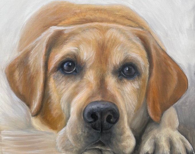 Pet Portrait With Solid Background, Custom Dog Painting on Canvas - Etsy