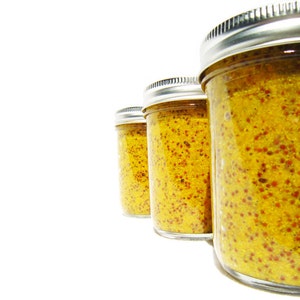 Sneaky Heat - Ghost Pepper Artisan Mustard - Gourmet Small Batch ...