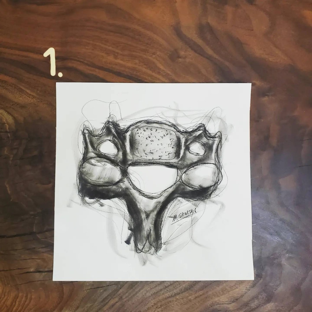 Cervical Vertebra Sketches - Etsy