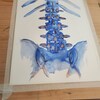 Abstract Cervical Spine Watercolor Painting Fine Art Print - Etsy