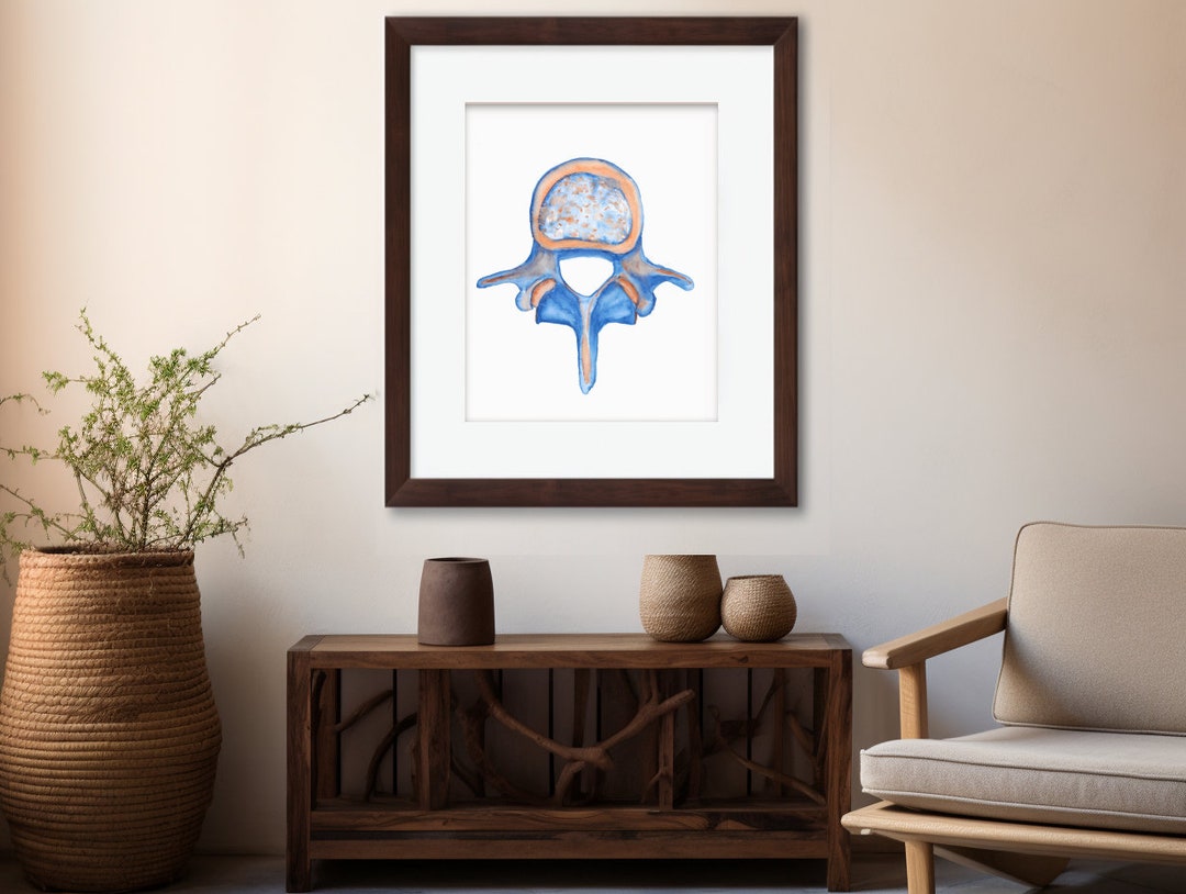 Axial Lumbar Watercolor Painting - Fine Art Print - Etsy