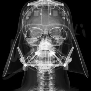 X-ray Fine Art Prints - Etsy