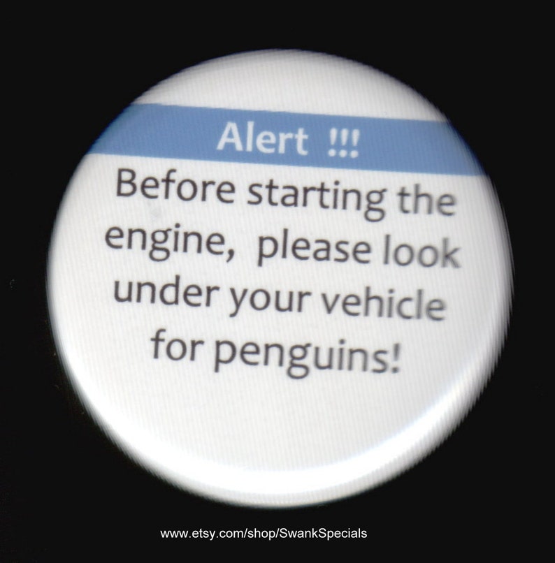 Alert -- Before Starting Engine, Please Look Under Your Vehicle for ...