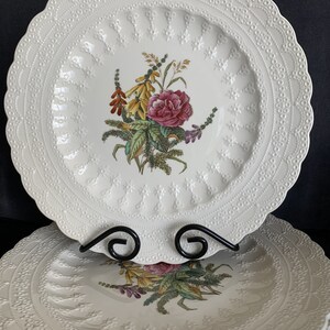 Spode of England Dinner Plate Rose Heath Pattern Jewel Copeland 10 ...