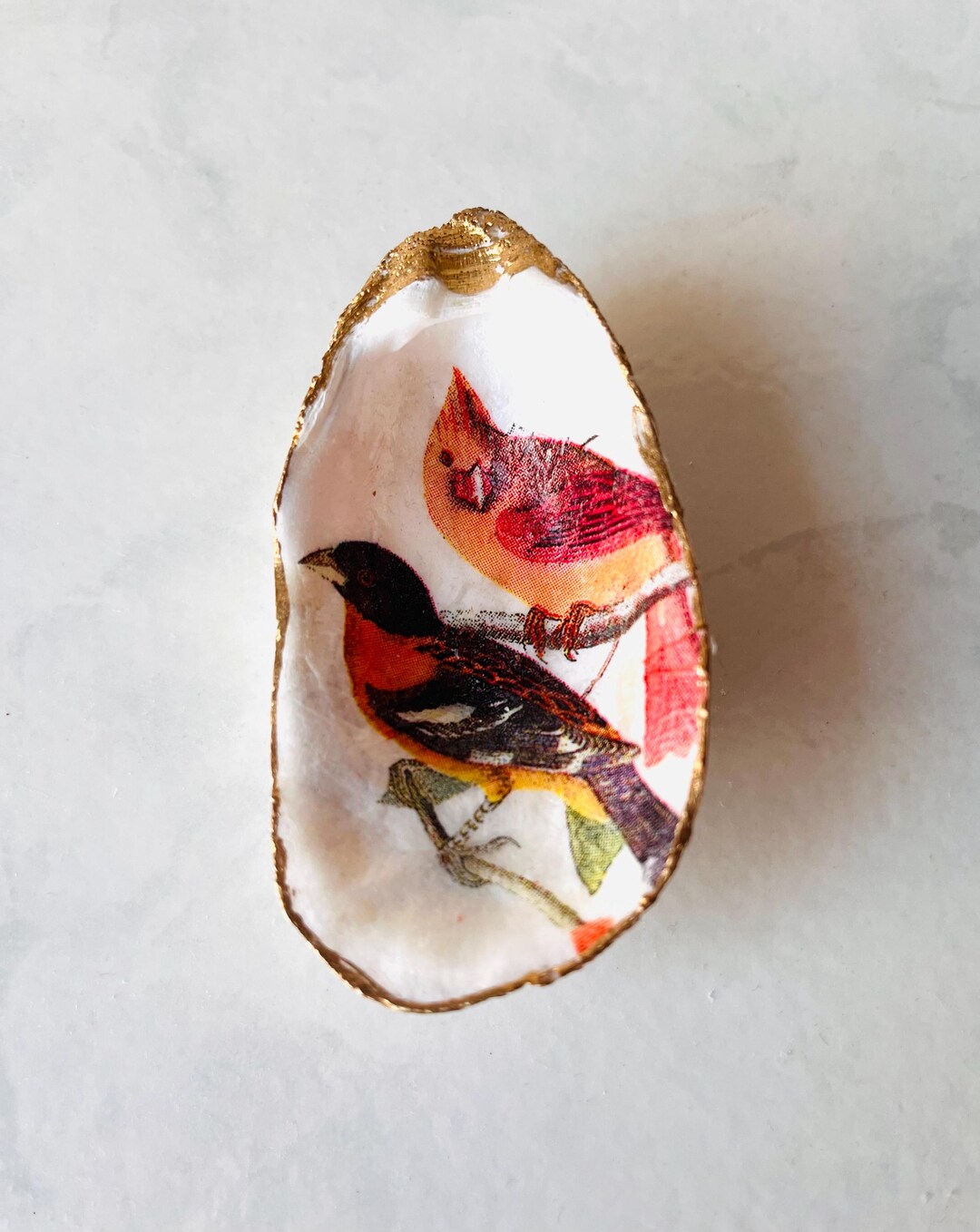 Oyster Shell Trinket Dish Birds Cardinal Goldfinch Decoupage - Etsy