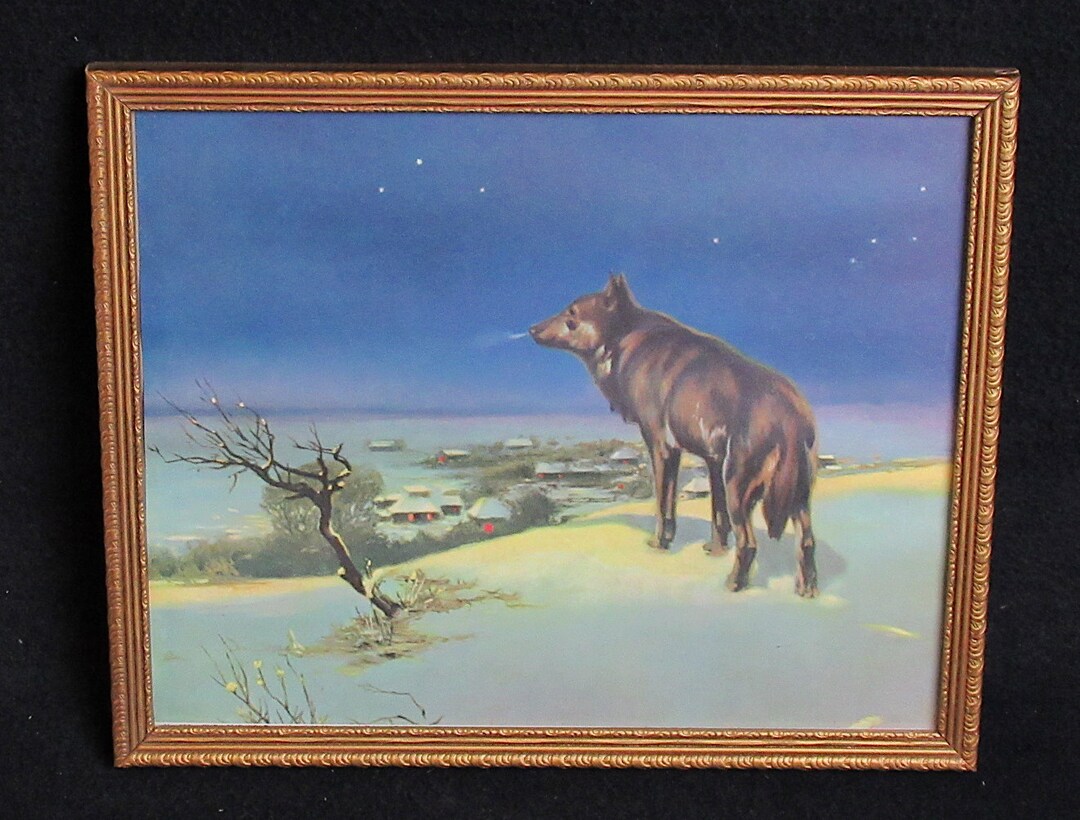 Original Lithograph 1927 "lone Wolf" in Antique/vintage Frame, Perfect ...
