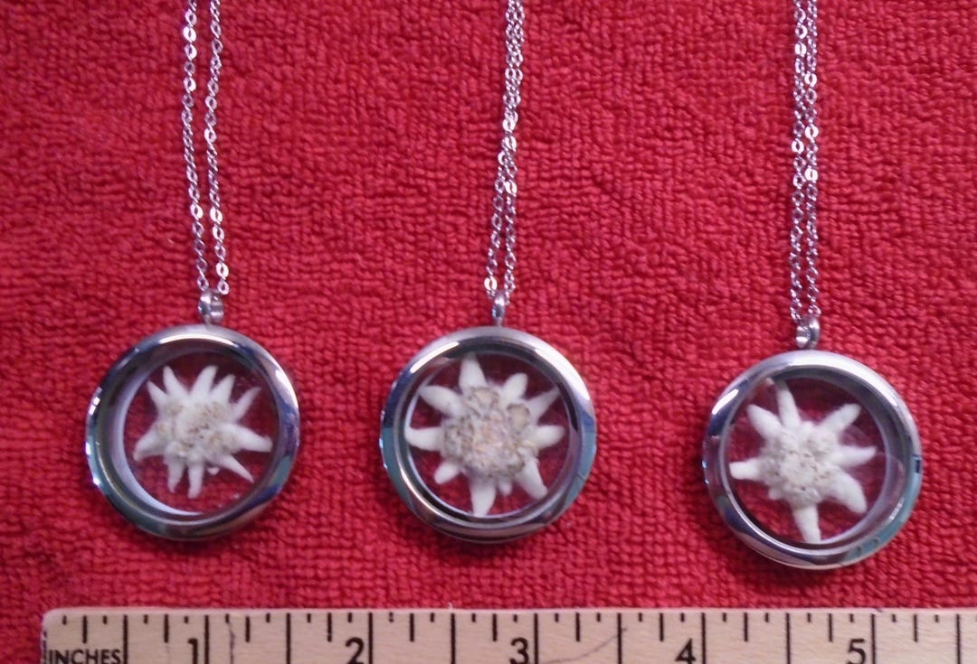 Real Dried Edelweiss Flower Deluxe Blossom Locket,silver Stainless ...