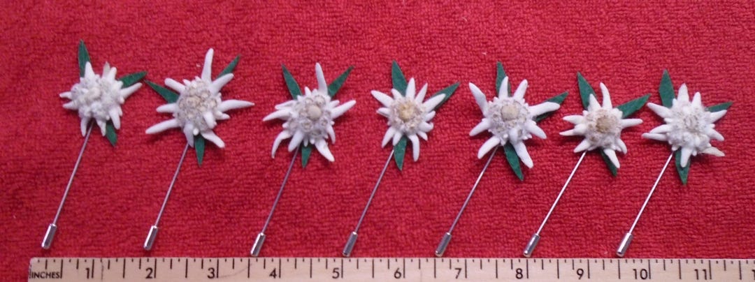 Edelweiss Boutonniere REAL FLOWER Best Man Gift Bridal Lapel Pin Hat ...