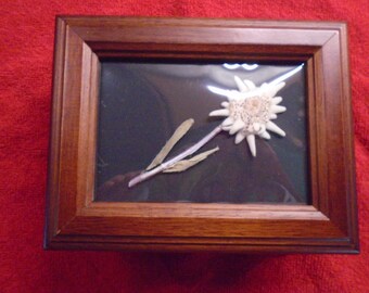 Vintage Music Boxes - Etsy