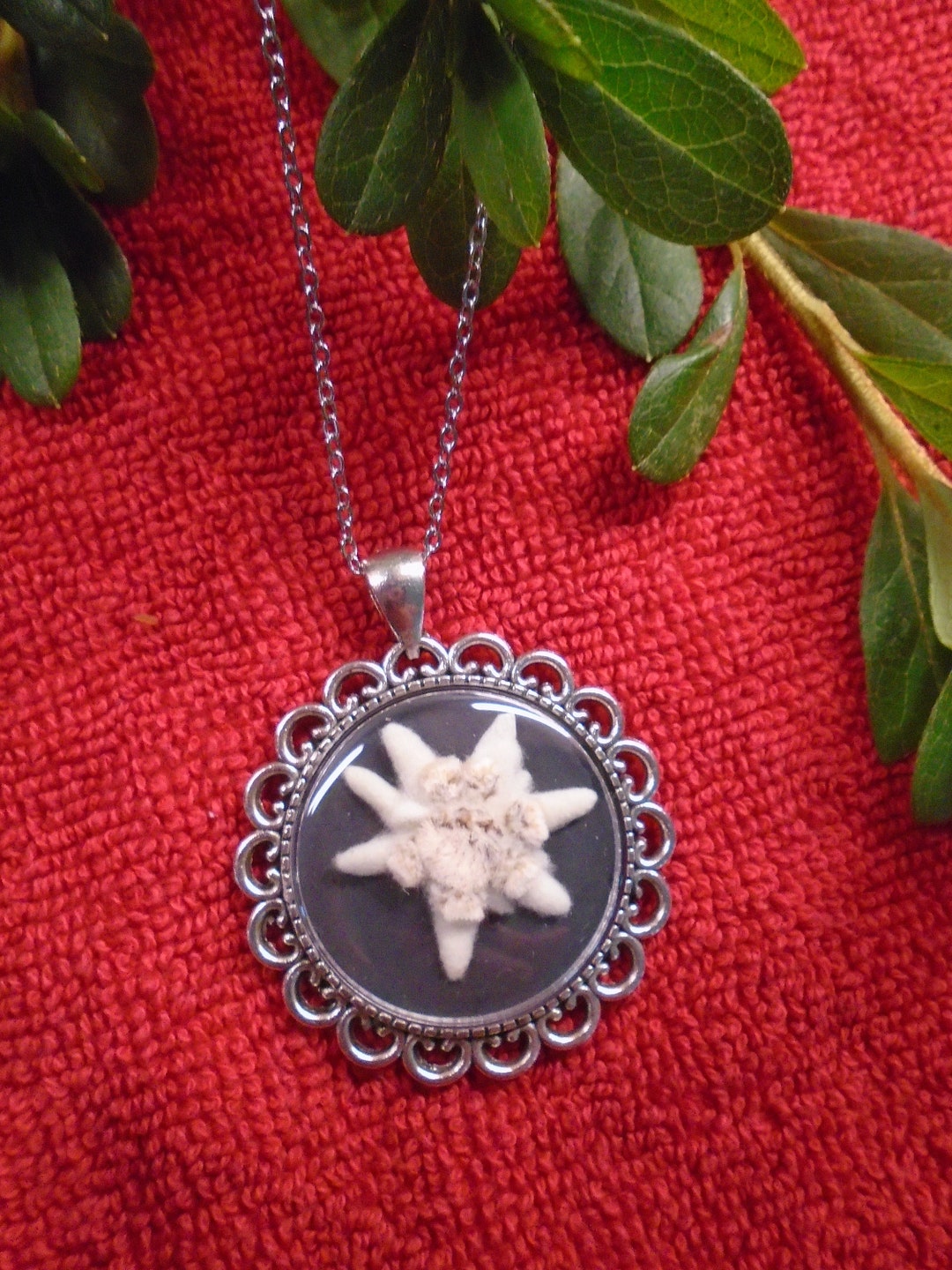 Real Edelweiss Flower Dried Pressed Necklace Vintage Inspired Keepsake ...