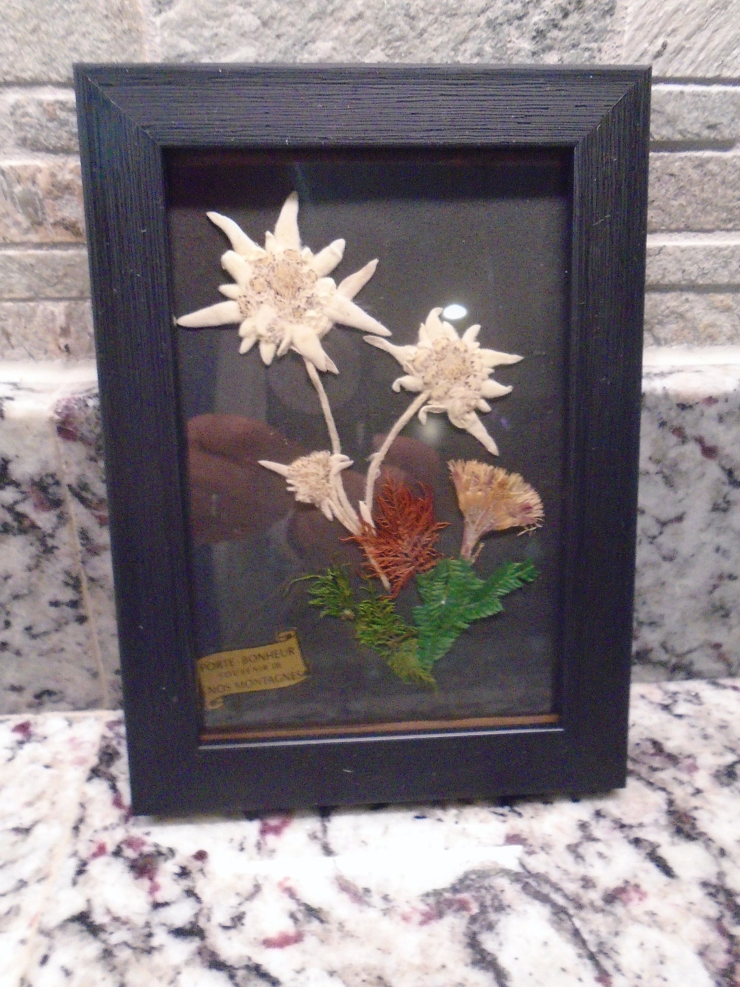 Real Edelweiss Flowers Bouquet Dried Flowers Alps Vintage Card New ...