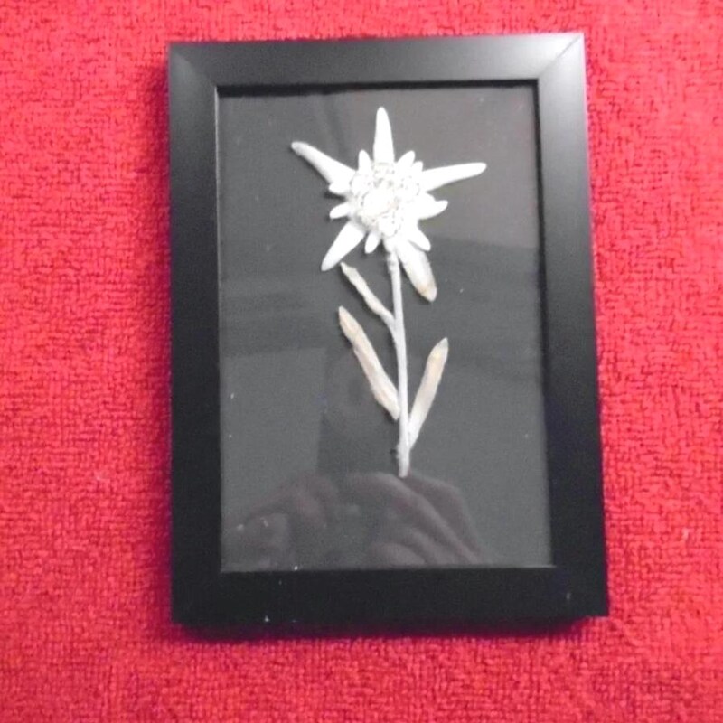 Edelweiss Wall Art - Etsy