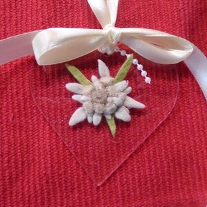 REAL Dried Flower Edelweiss Blossom Gift Ornament 3heart Shaped ...