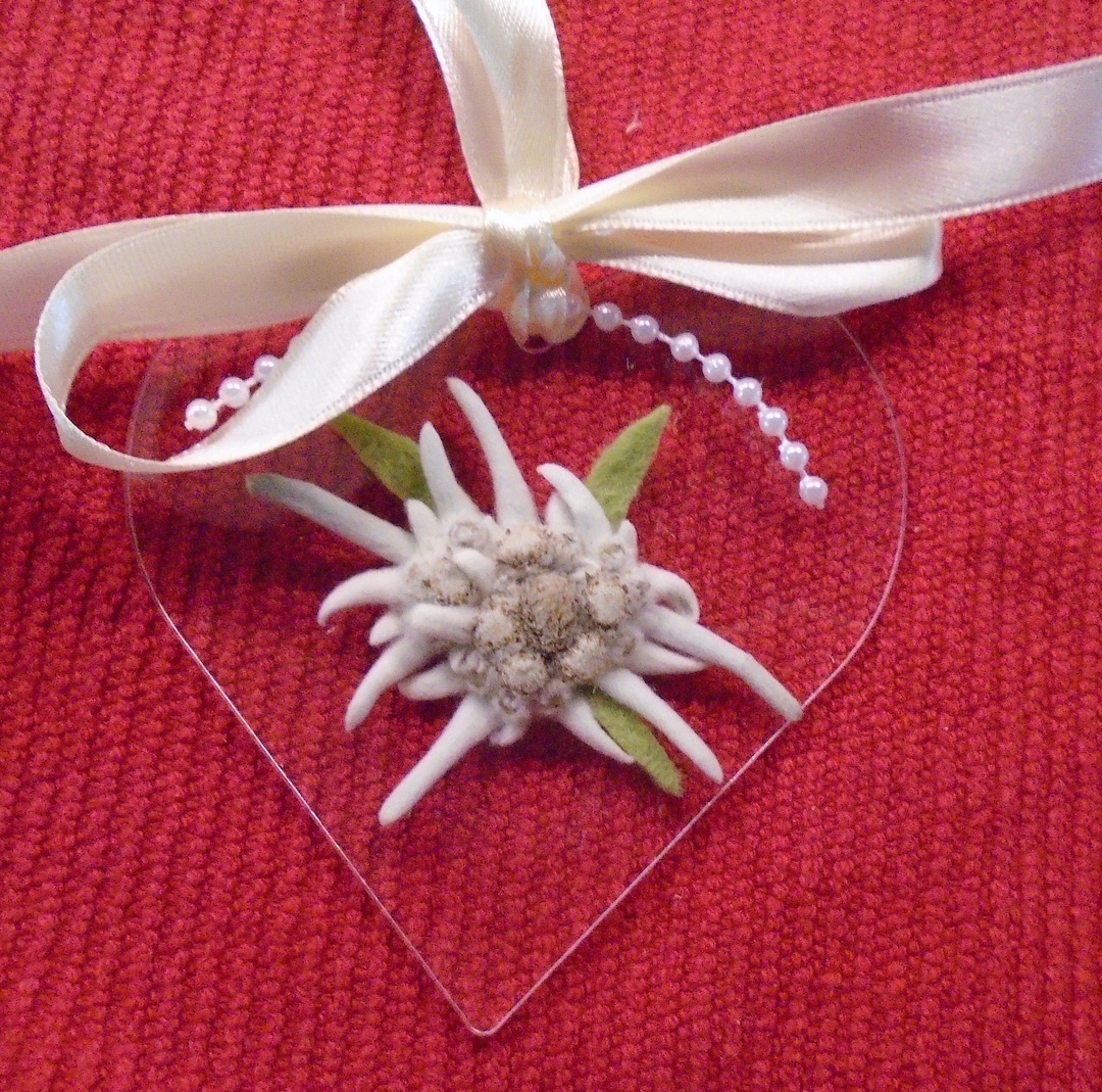 REAL Dried Flower Edelweiss Blossom Gift Ornament 3heart Shaped ...