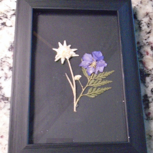 Edelweiss Wall Art - Etsy