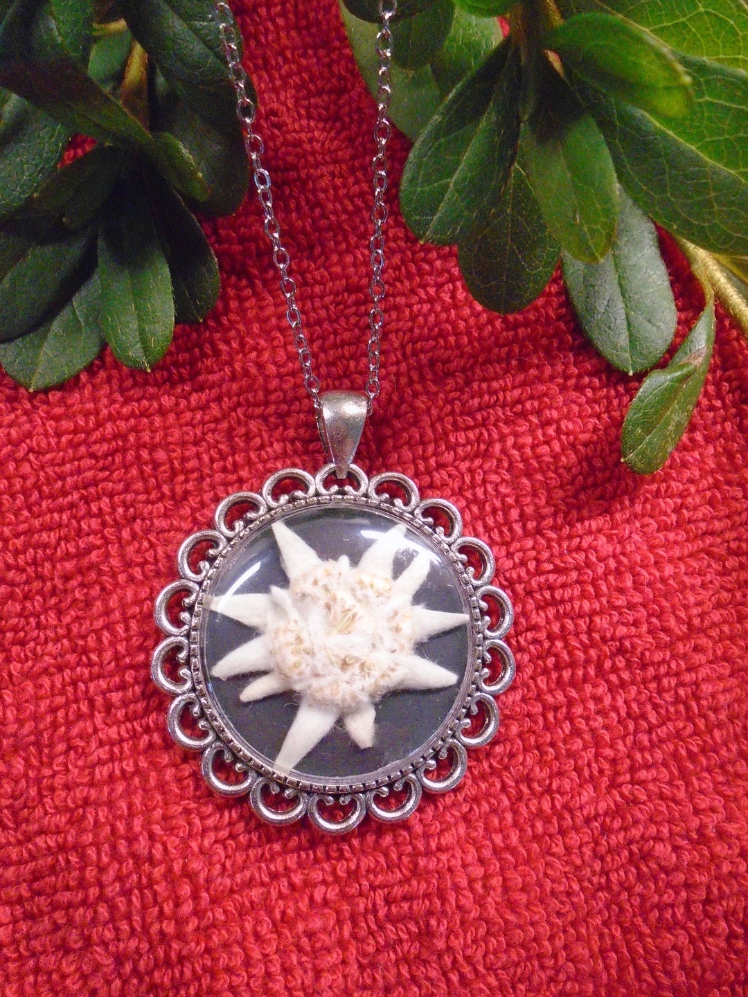 Real Edelweiss Flower Dried Pressed Necklace Vintage Inspired Keepsake ...