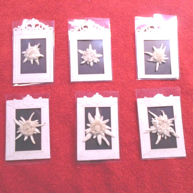 White Flower Sound of Music - Etsy