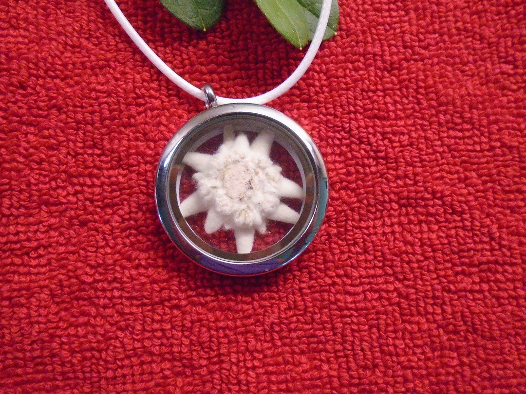 Real Dried Edelweiss Flower Deluxe Blossom Locket, Silver Stainless ...