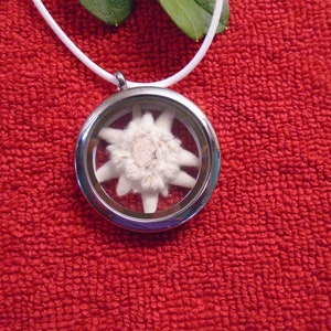 Real Dried Edelweiss Flower Deluxe Blossom Locket, Silver Stainless ...