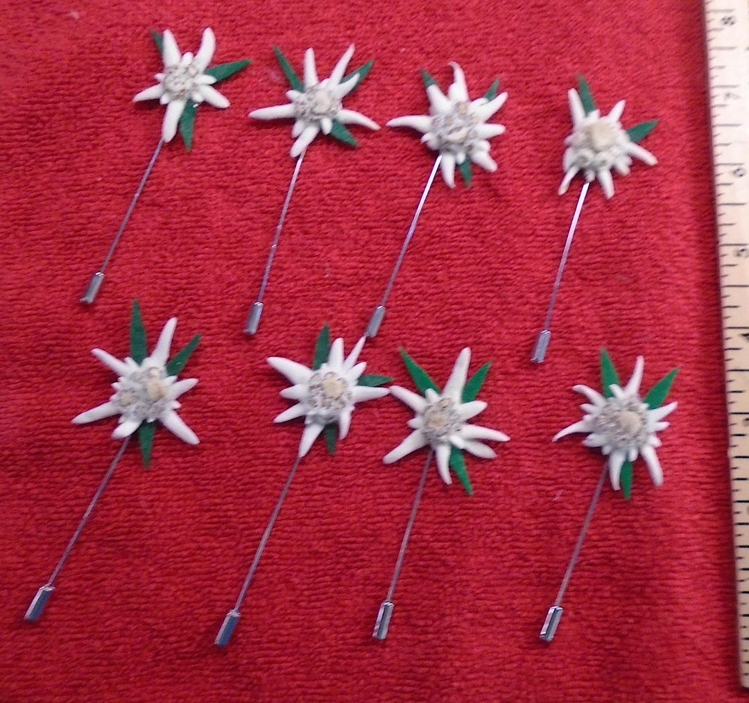 Edelweiss Boutonniere REAL FLOWER Best Man Gift Bridal Lapel Pin Hat ...