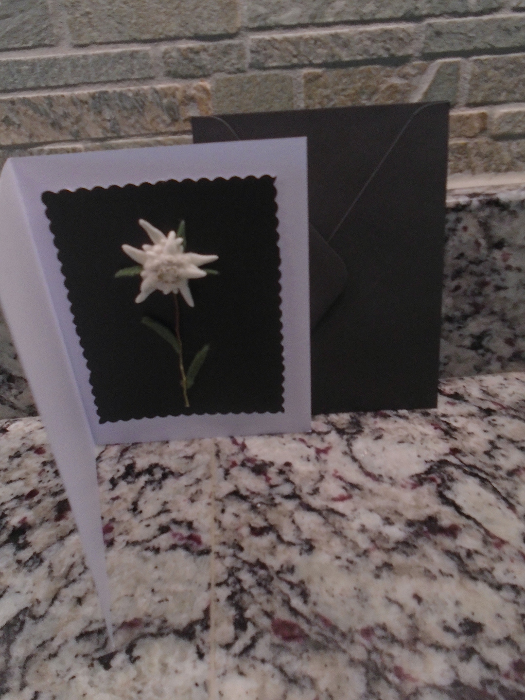 REAL Edelweiss Pressed Flower Greeting Card Alps Keepsake Gift - Etsy