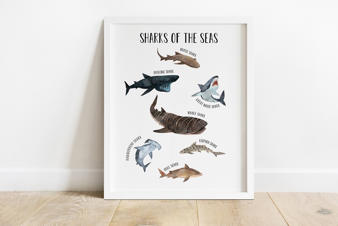 DIGITAL FILE, Shark Chart Print, Shark Print, Shark Poster, Ocean ...