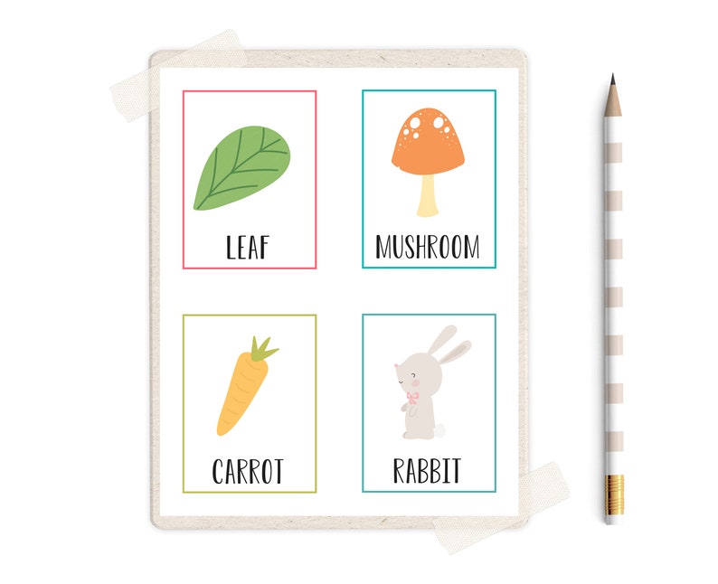Printable Flash Cards Spring Flash Cards Garden Flash Cards | Etsy