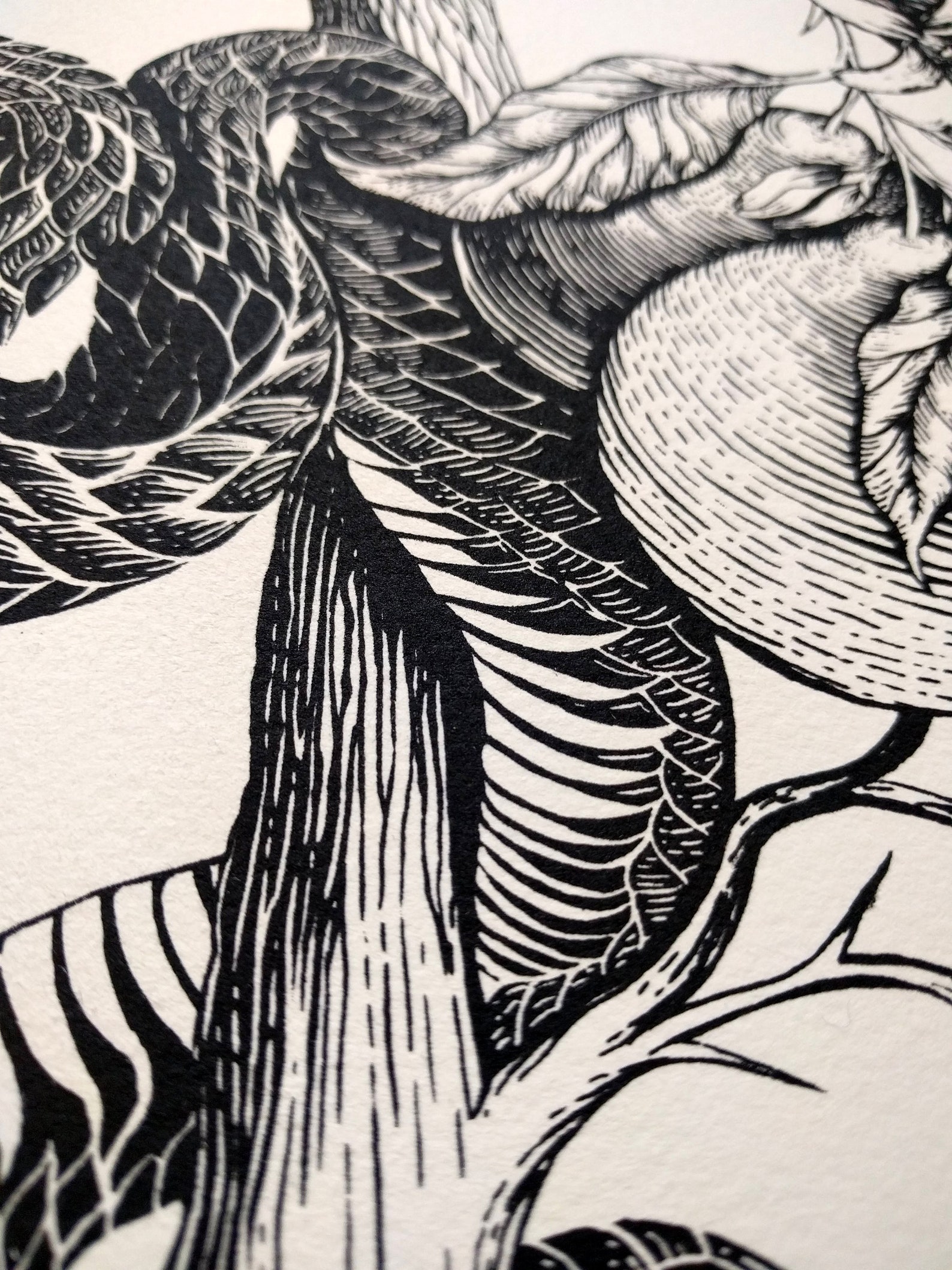 Forbidden Fruit: Botanical Snake Screenprint Limited Edition - Etsy