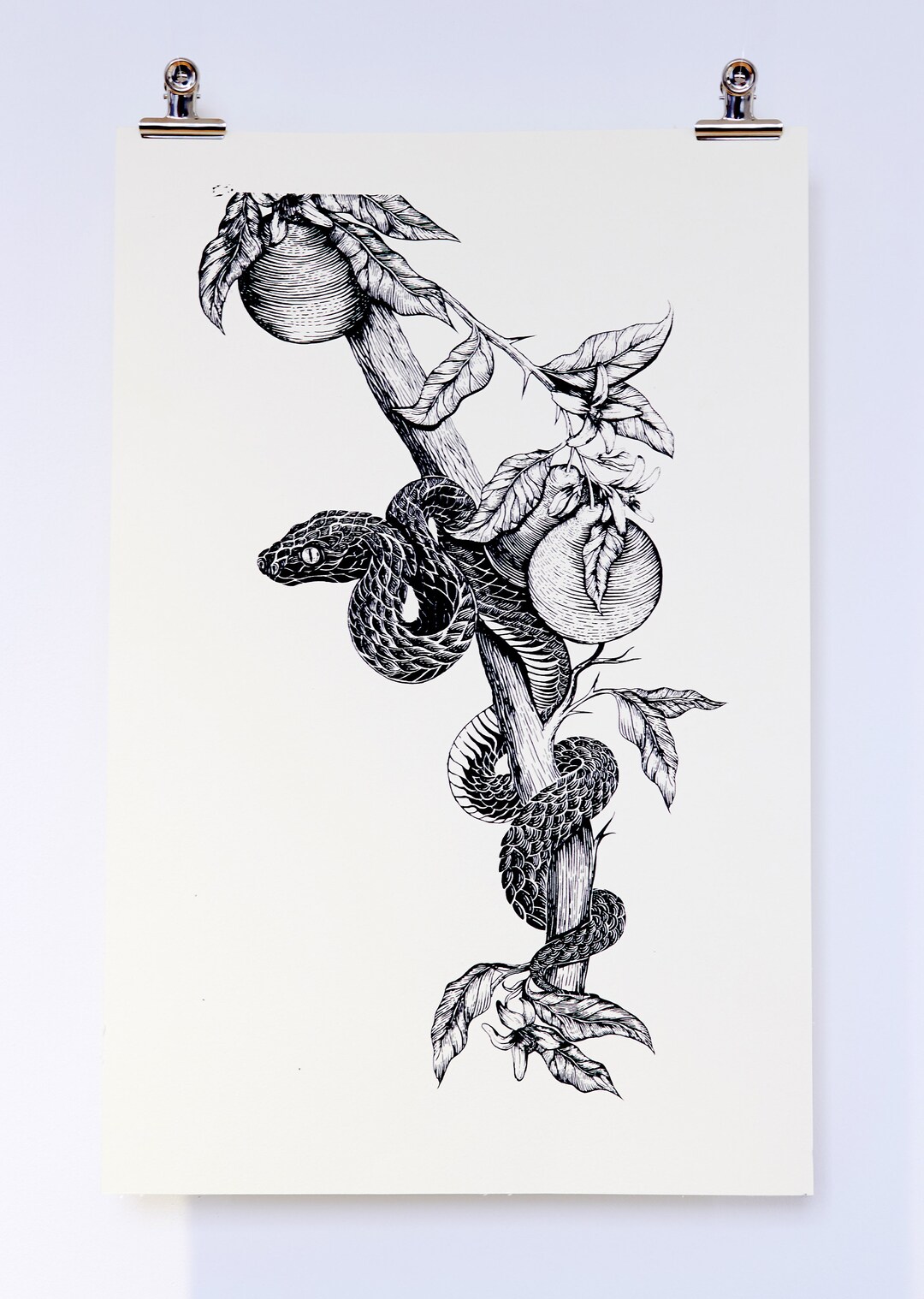 Forbidden Fruit: Botanical Snake Screenprint Limited Edition - Etsy