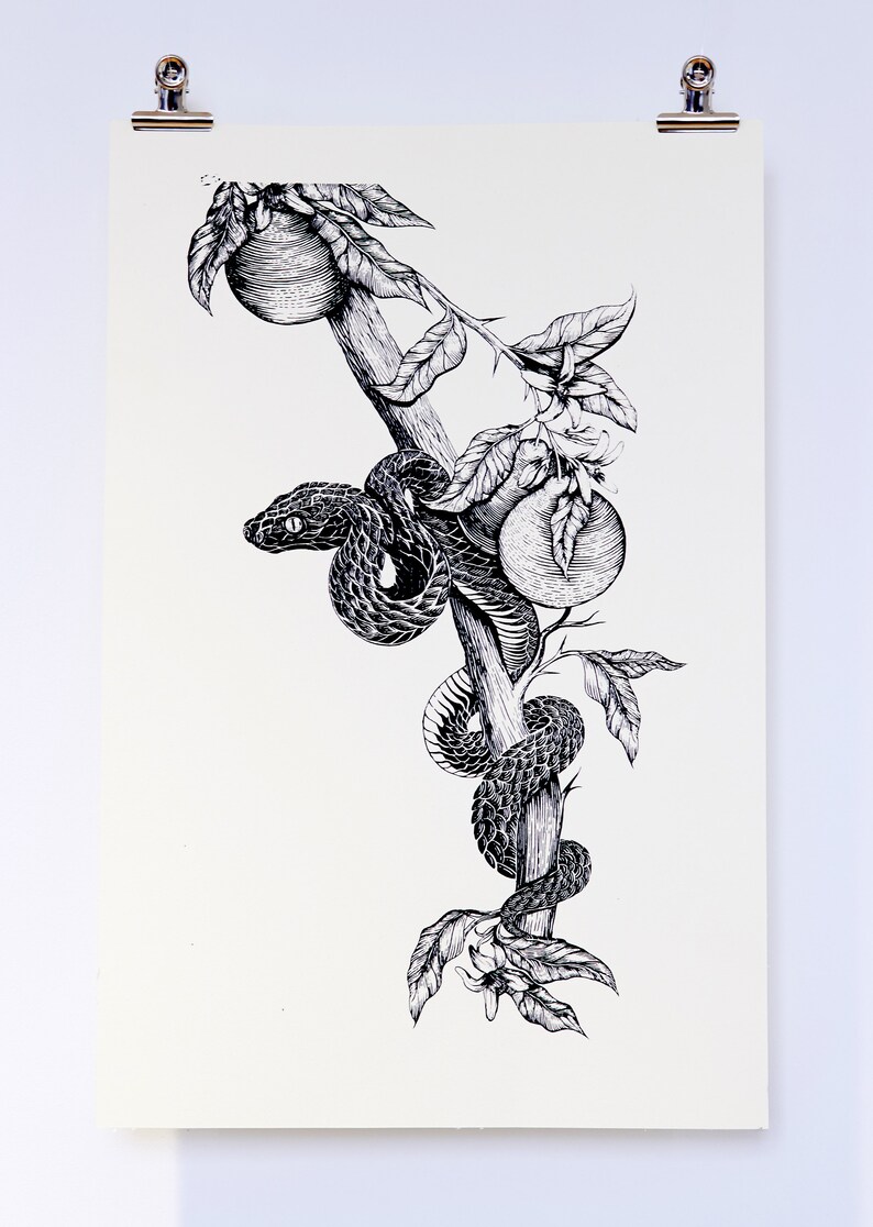 Forbidden Fruit: Botanical Snake Screenprint Limited Edition - Etsy UK