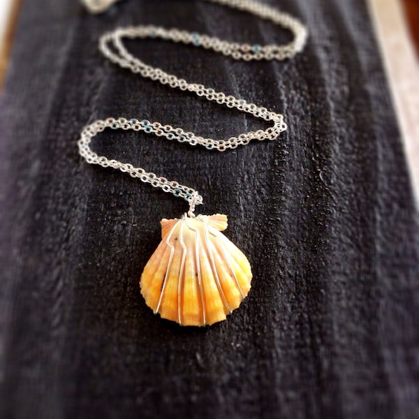 Sunrise Shell Necklace - Etsy