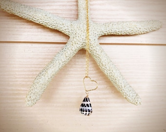 Cone Shell Necklace - Etsy